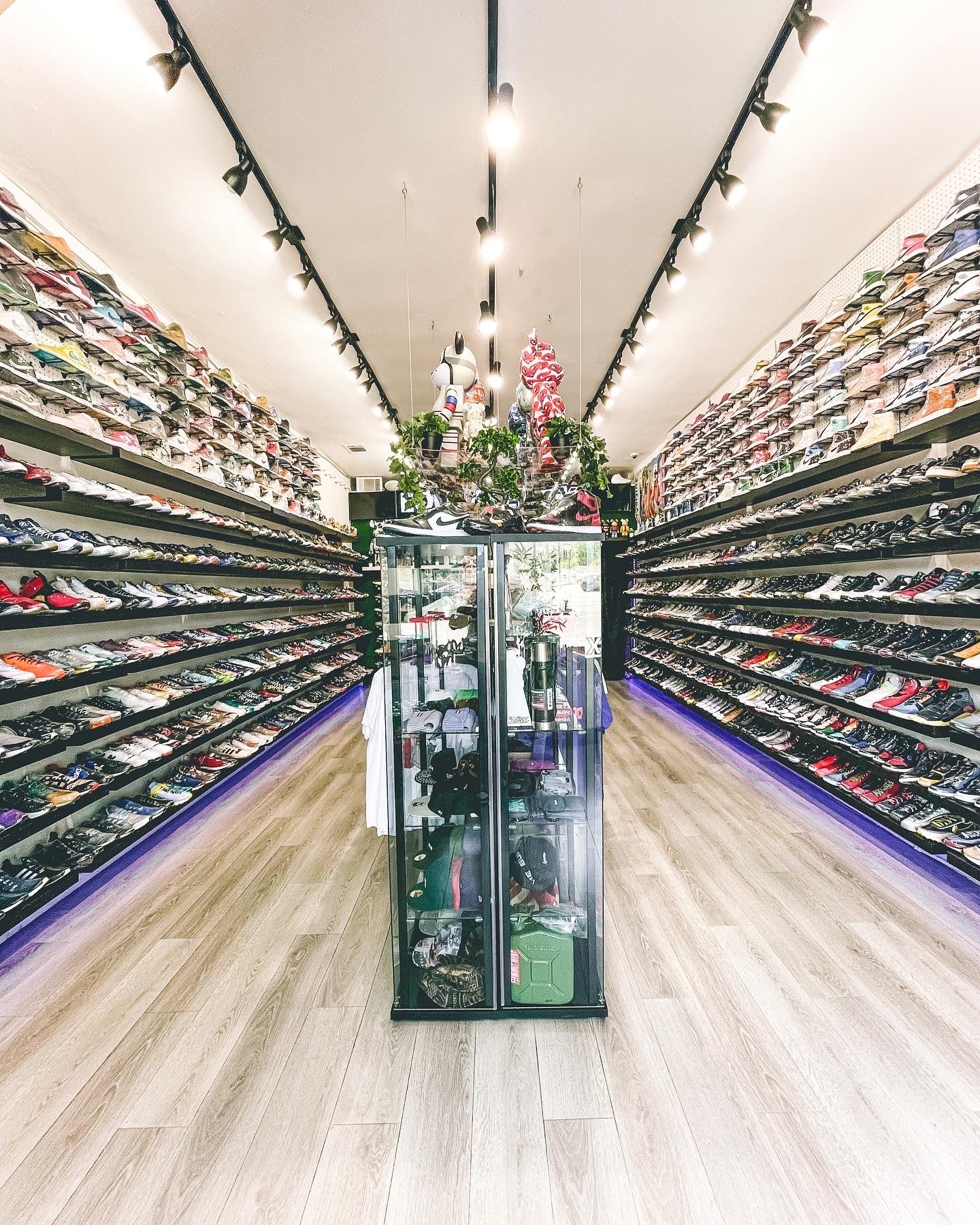 Equvalence Sneakers, Clothing & Collectibles
